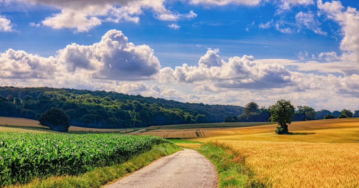 Une Charte du "Bien Vivre Ensemble" déployée dans les espaces agricoles ...